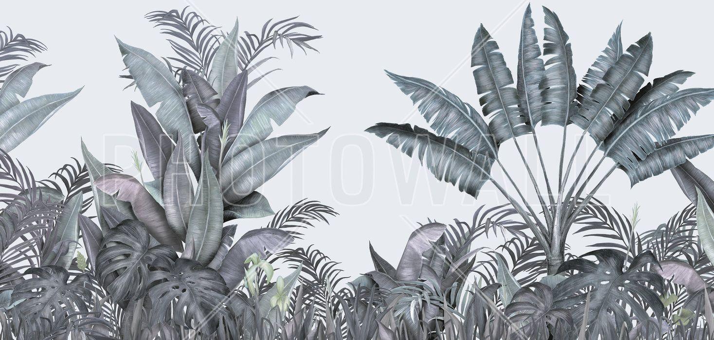 Pacific Blue Wallpapers - Top Free Pacific Blue Backgrounds ...