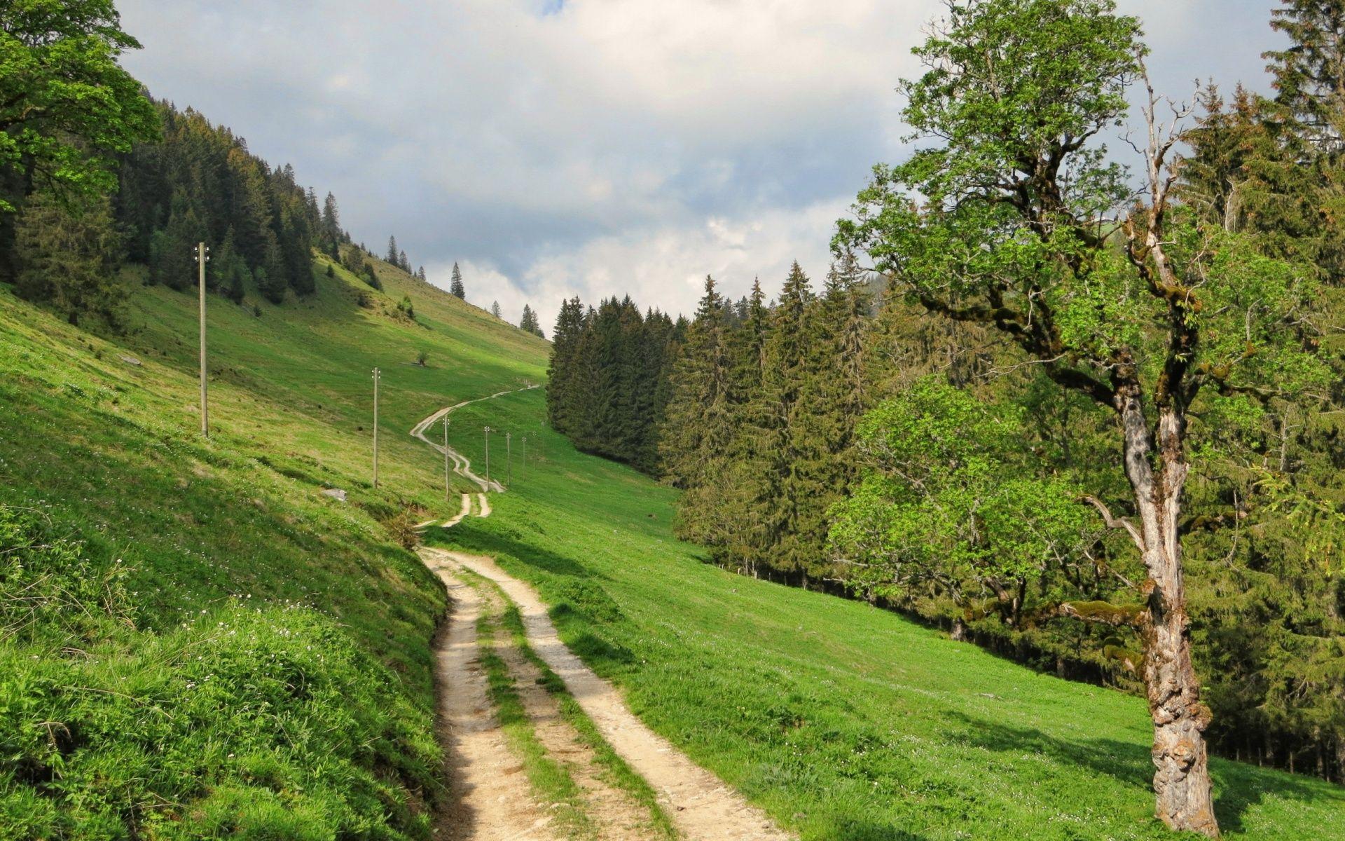 Forest Hills Wallpapers - Top Free Forest Hills Backgrounds ...