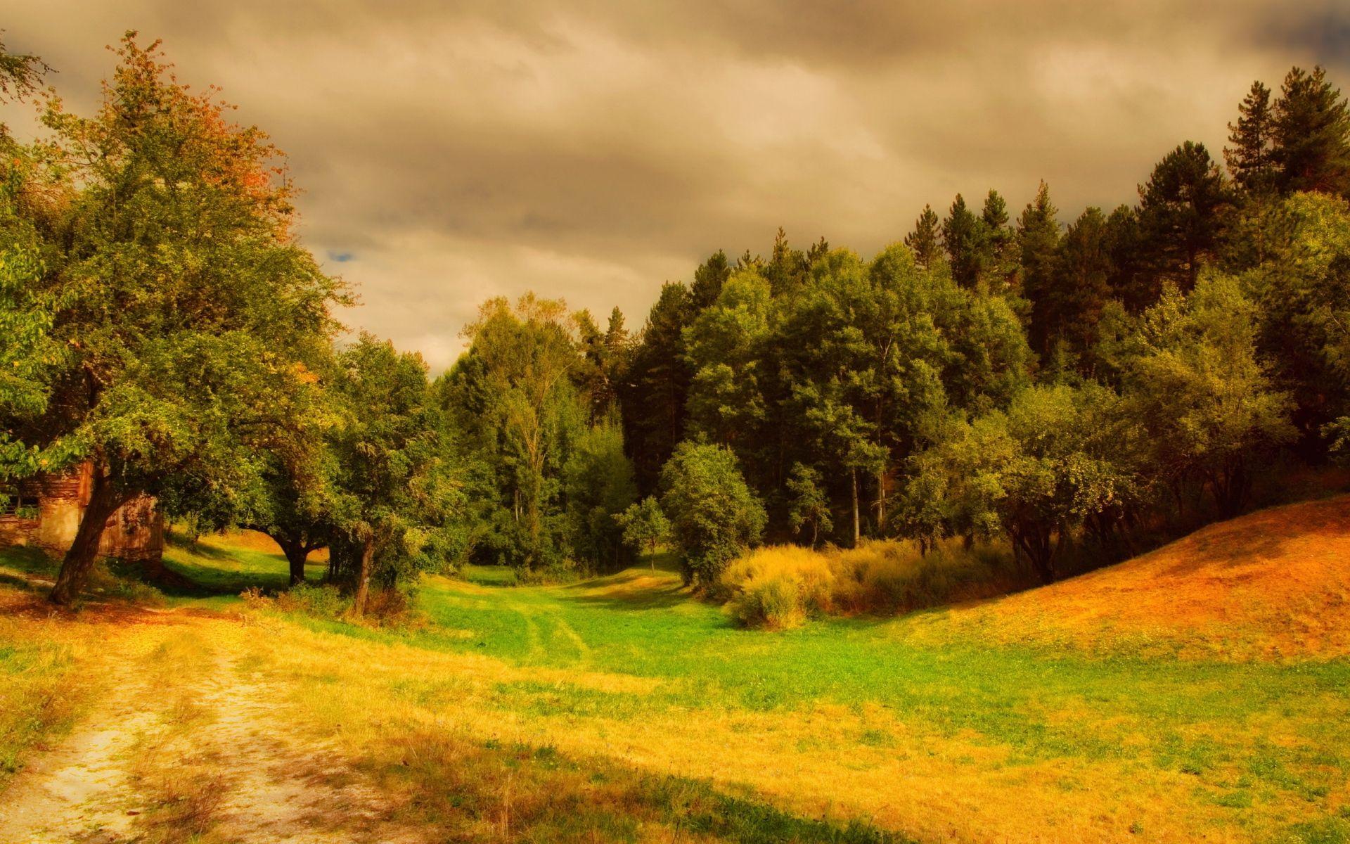 Forest Hills Wallpapers - Top Free Forest Hills Backgrounds ...