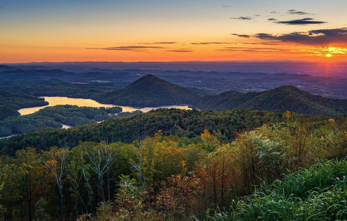 Forest Hills Wallpapers - Top Free Forest Hills Backgrounds ...