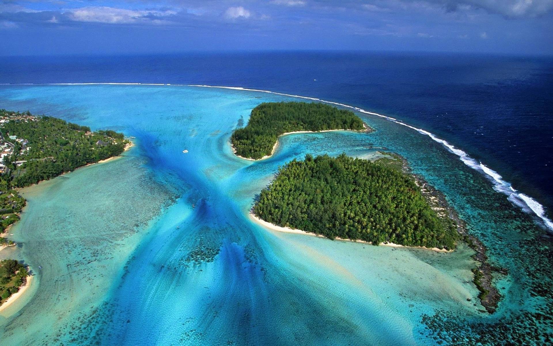 Beach Forest Wallpapers - Top Free Beach Forest Backgrounds ...