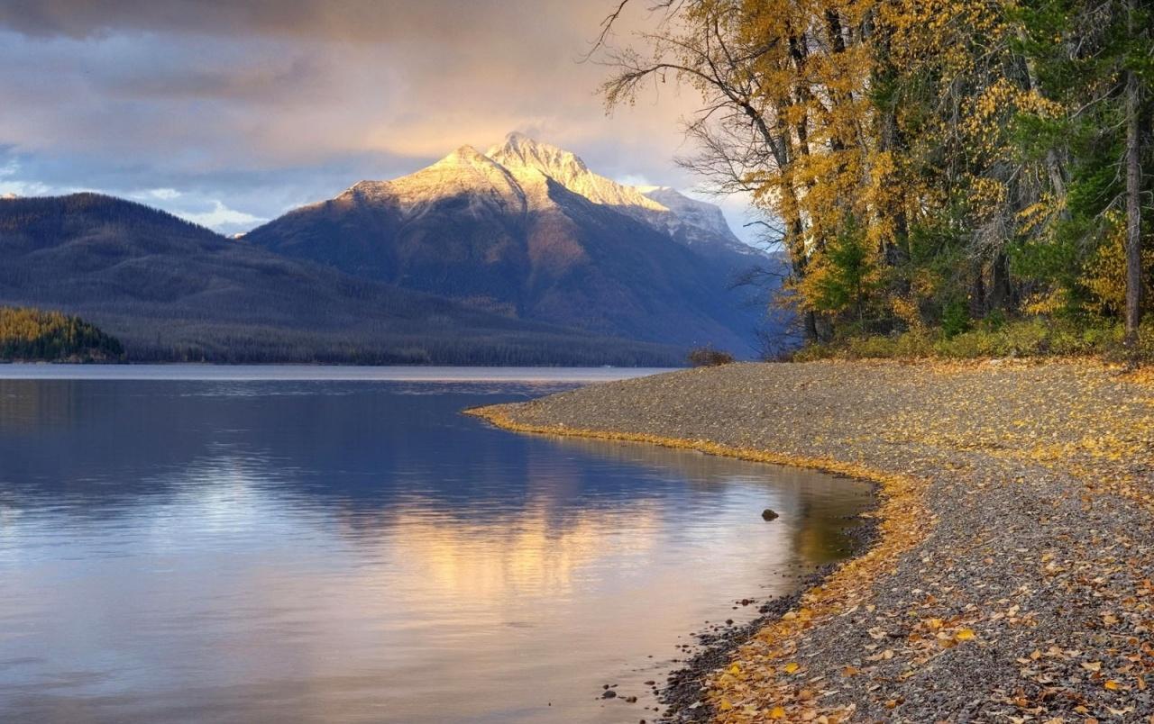 Beach Forest Wallpapers - Top Free Beach Forest Backgrounds ...