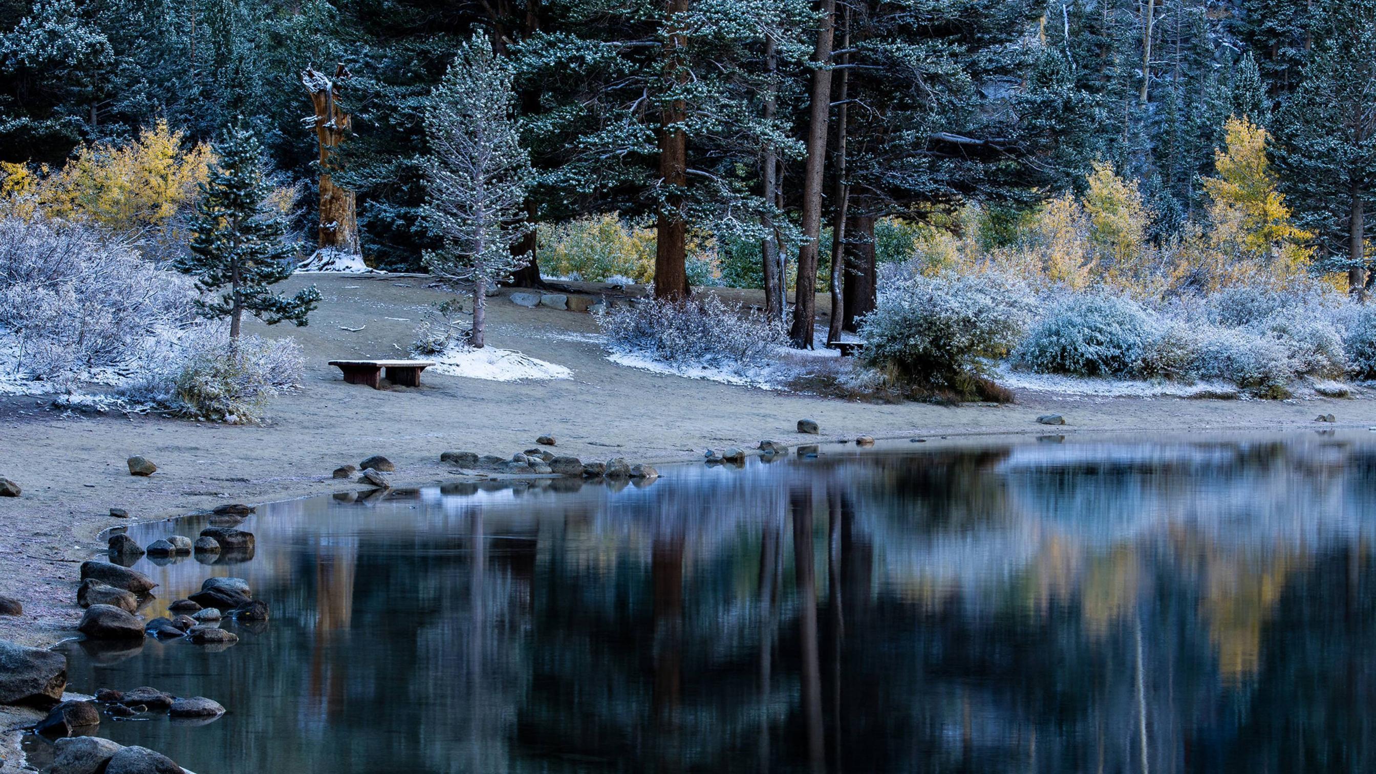 Beach Forest Wallpapers - Top Free Beach Forest Backgrounds ...