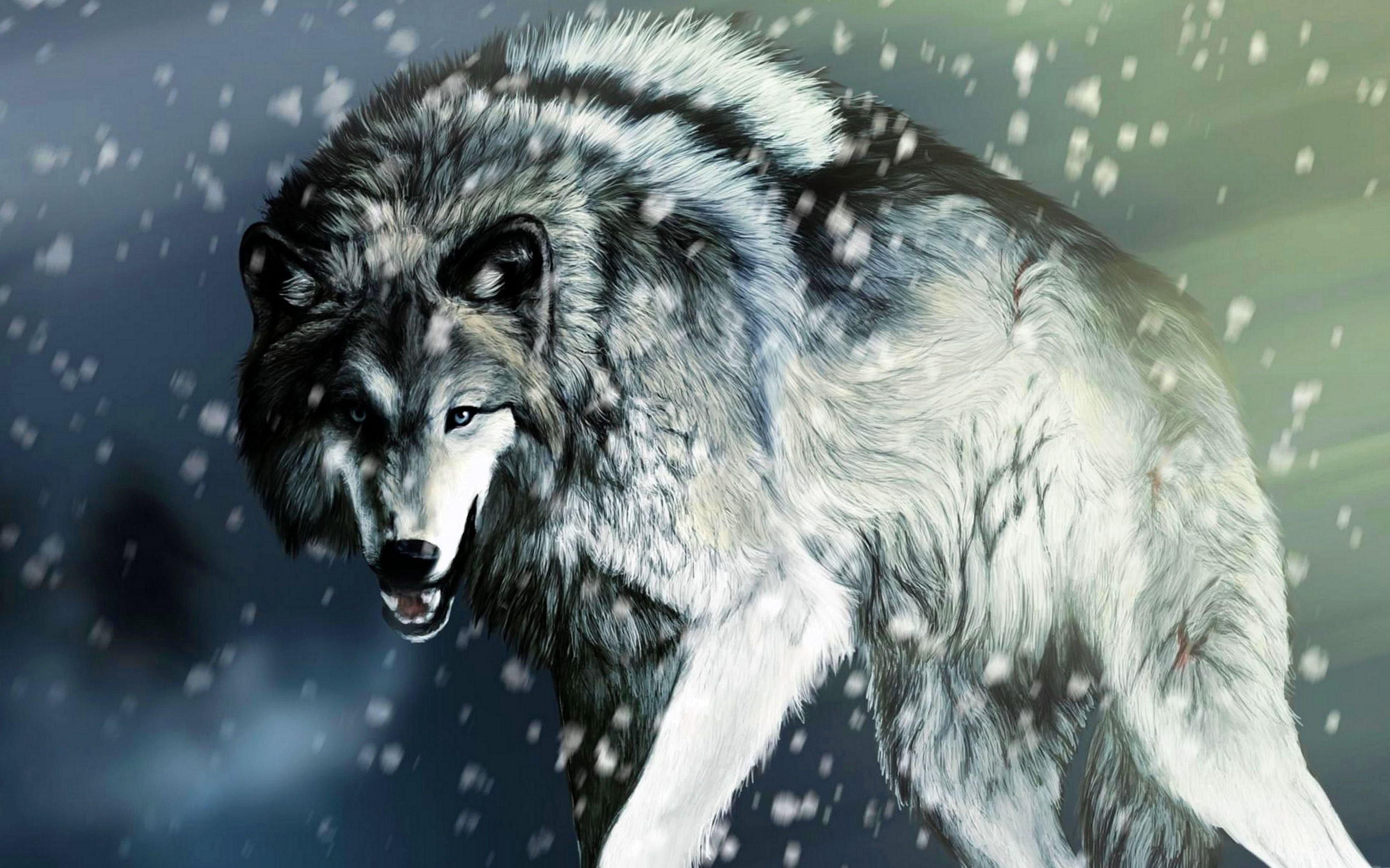 Winter Wolf Wallpapers - Top Free Winter Wolf Backgrounds - WallpaperAccess