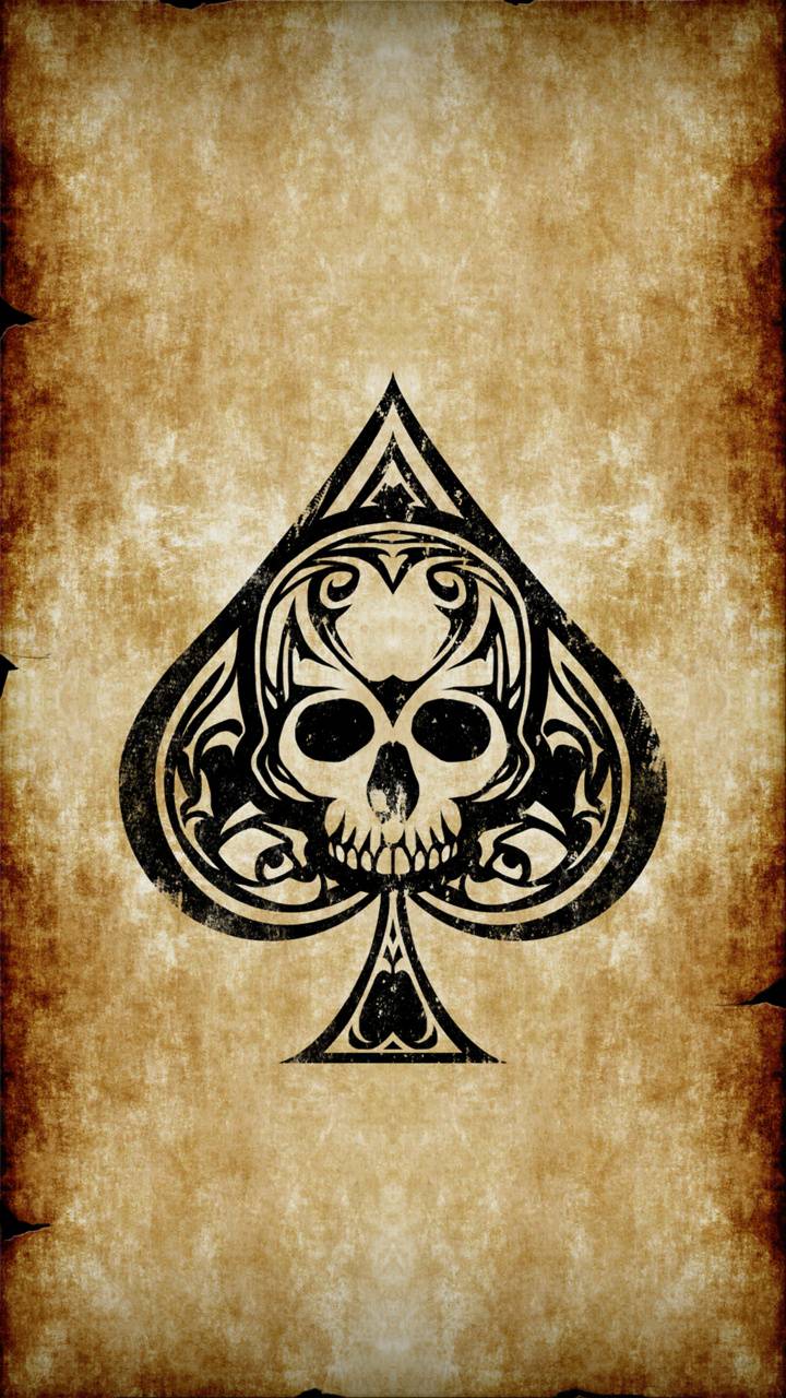 Ace Logo Wallpapers - Top Free Ace Logo Backgrounds - WallpaperAccess