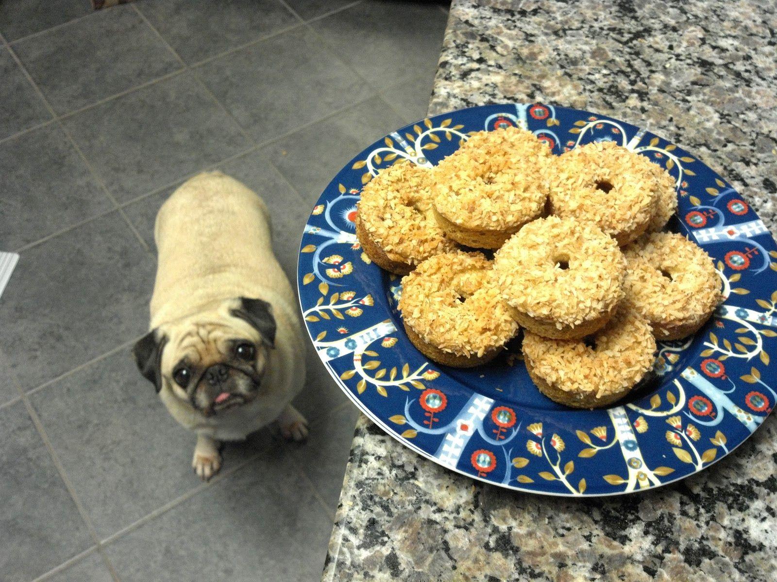 Donut Pug Wallpapers - Top Free Donut Pug Backgrounds - WallpaperAccess