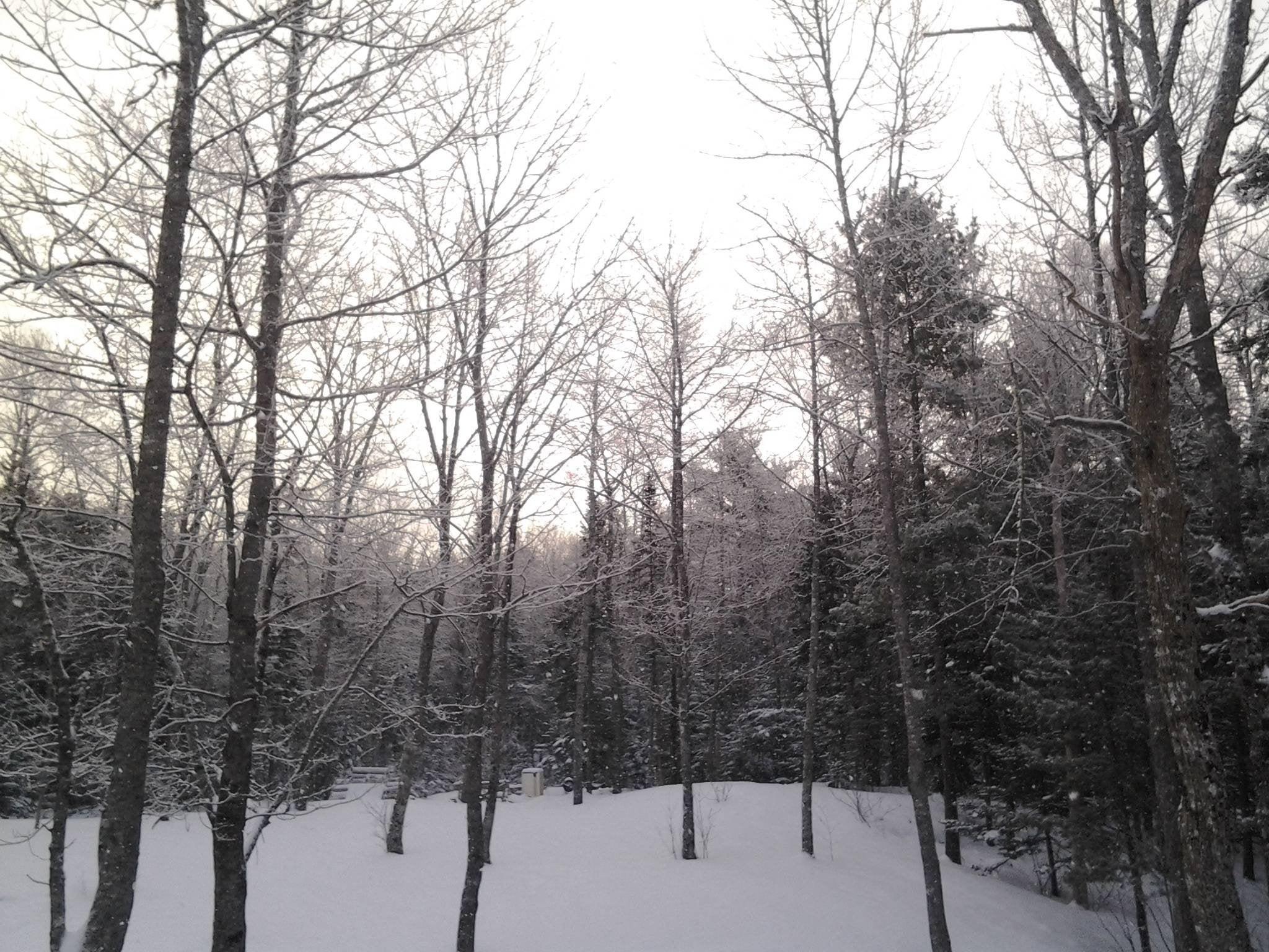 Old Winter Wallpapers - Top Free Old Winter Backgrounds - WallpaperAccess