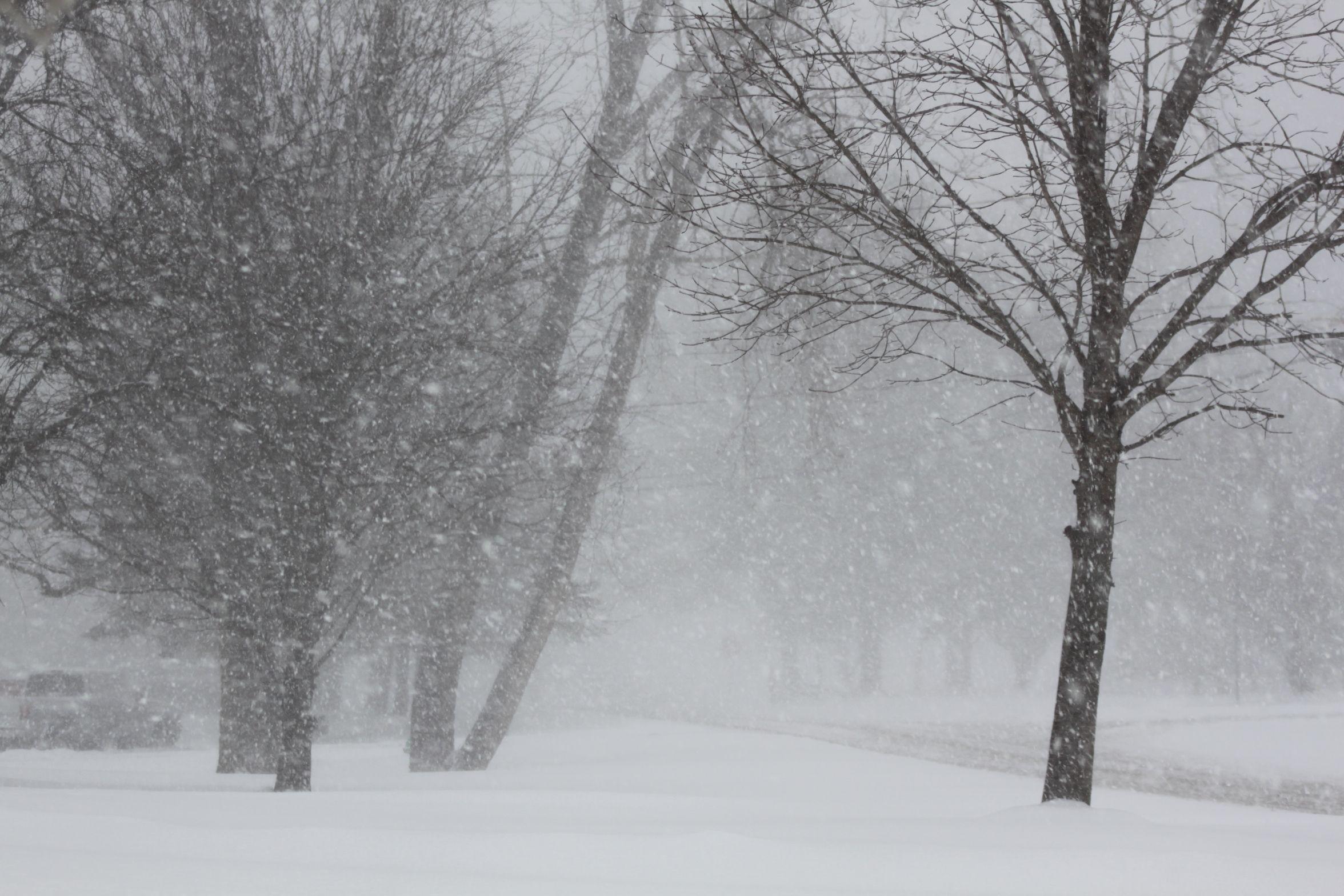 Winter Farm Desktop Wallpapers - Top Free Winter Farm Desktop ...