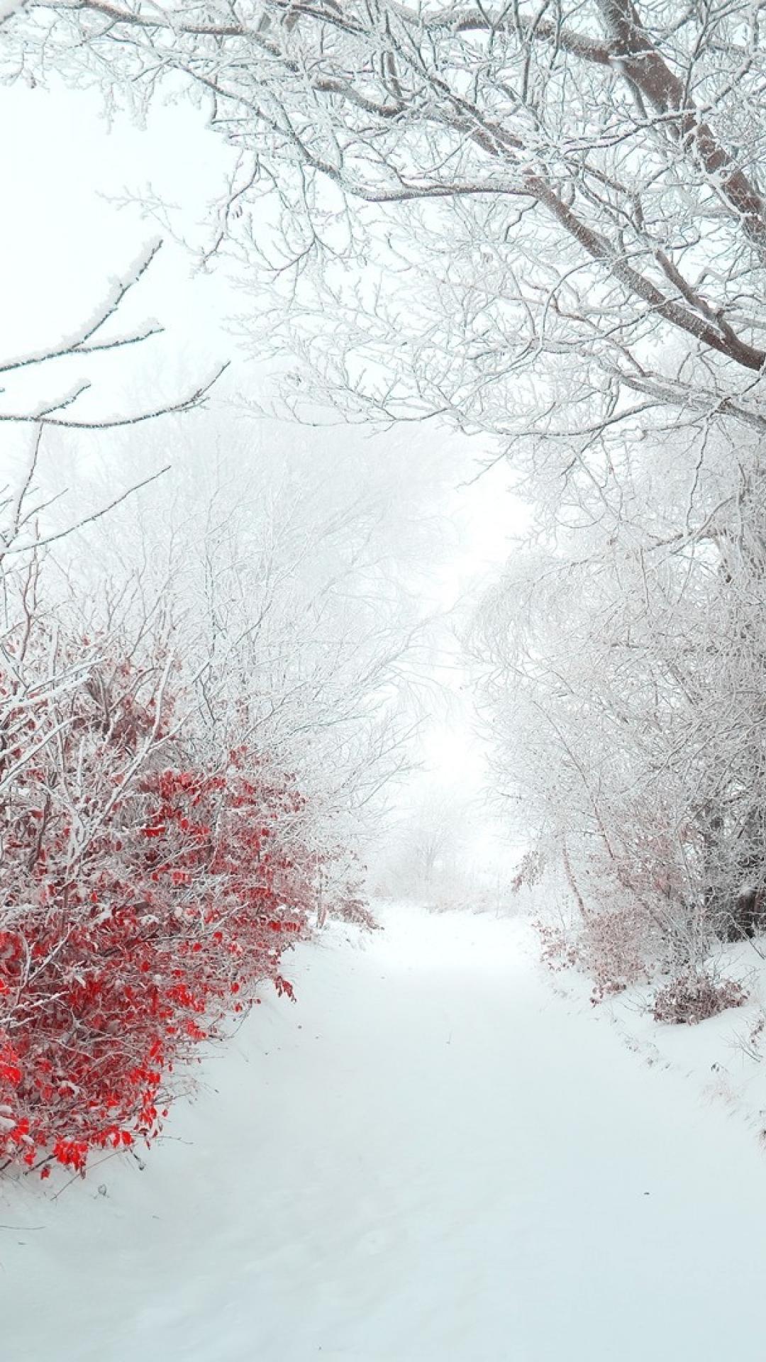 Red Snow Wallpapers - Top Free Red Snow Backgrounds - WallpaperAccess