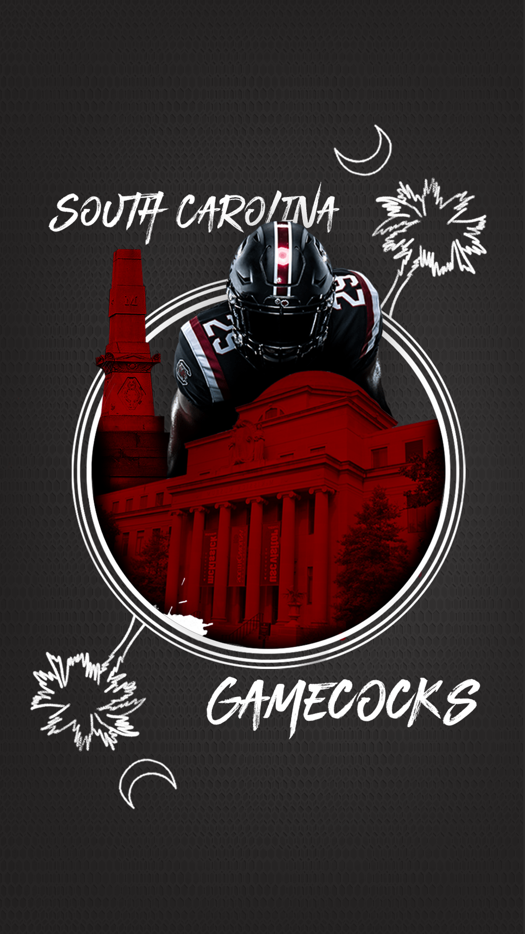 Carolina Gamecocks Wallpapers - Top Free Carolina Gamecocks Backgrounds ...