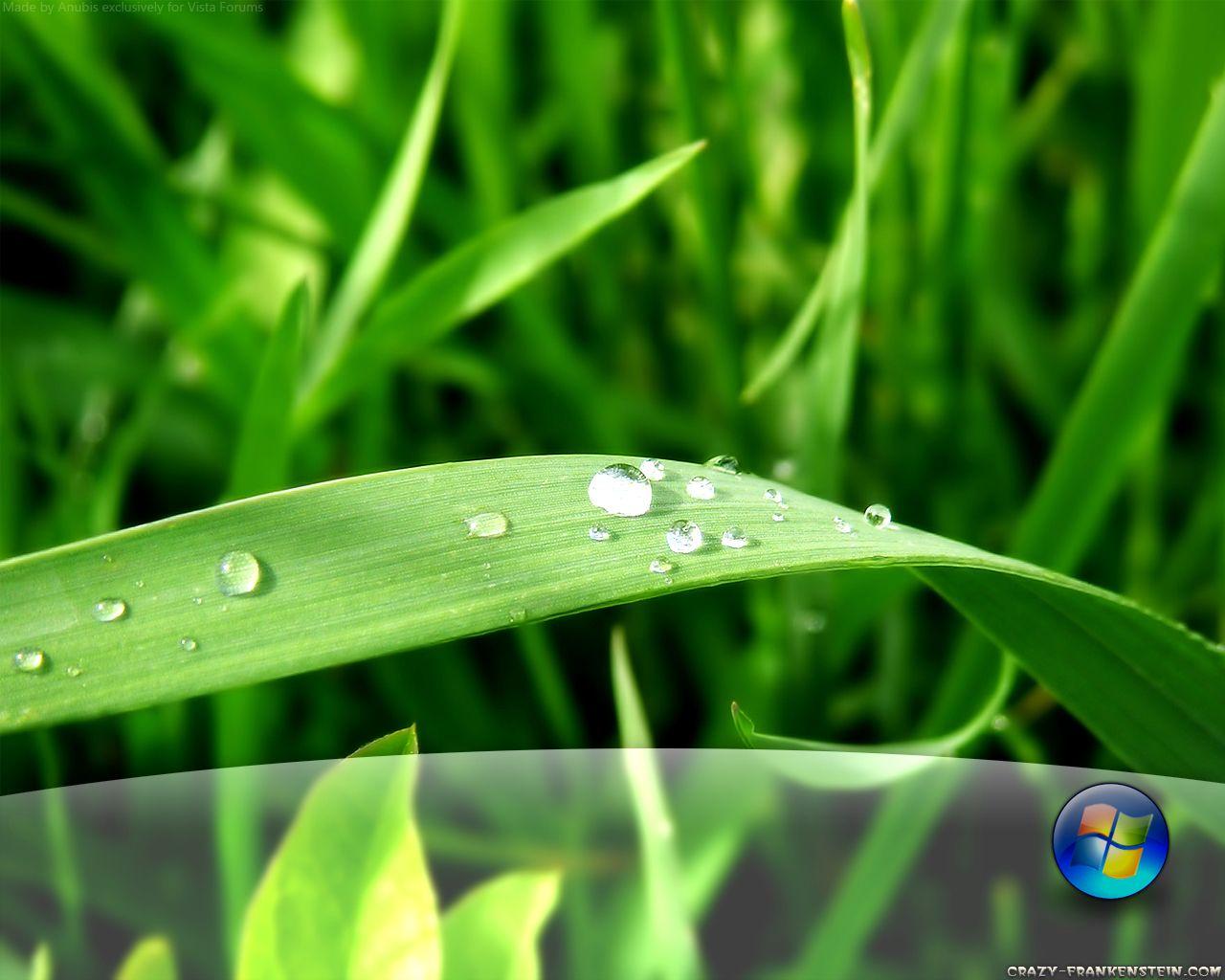 Pixel Nature Wallpapers - Top Free Pixel Nature Backgrounds ...