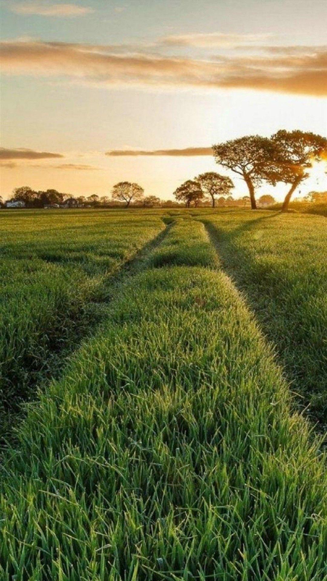 Pixel Nature Wallpapers - Top Free Pixel Nature Backgrounds ...