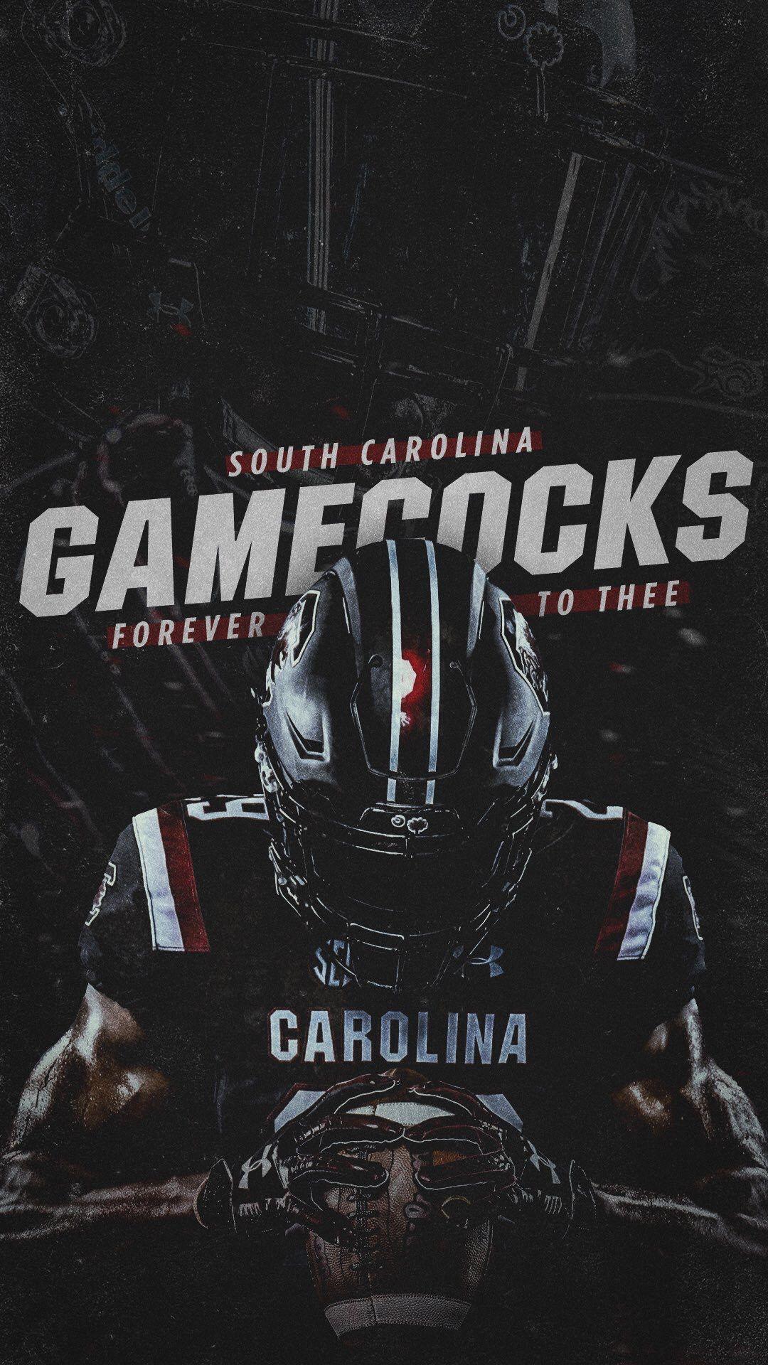 Carolina Gamecocks Wallpapers - Top Free Carolina Gamecocks Backgrounds ...