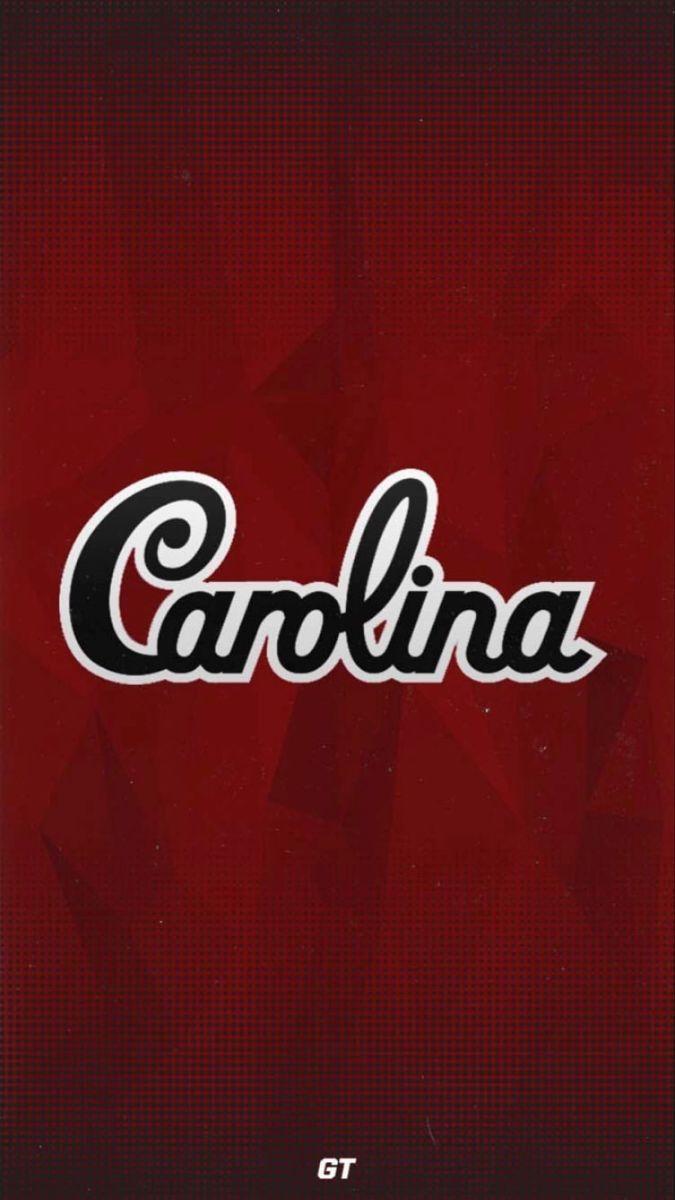 Carolina Gamecocks Wallpapers - Top Free Carolina Gamecocks Backgrounds ...