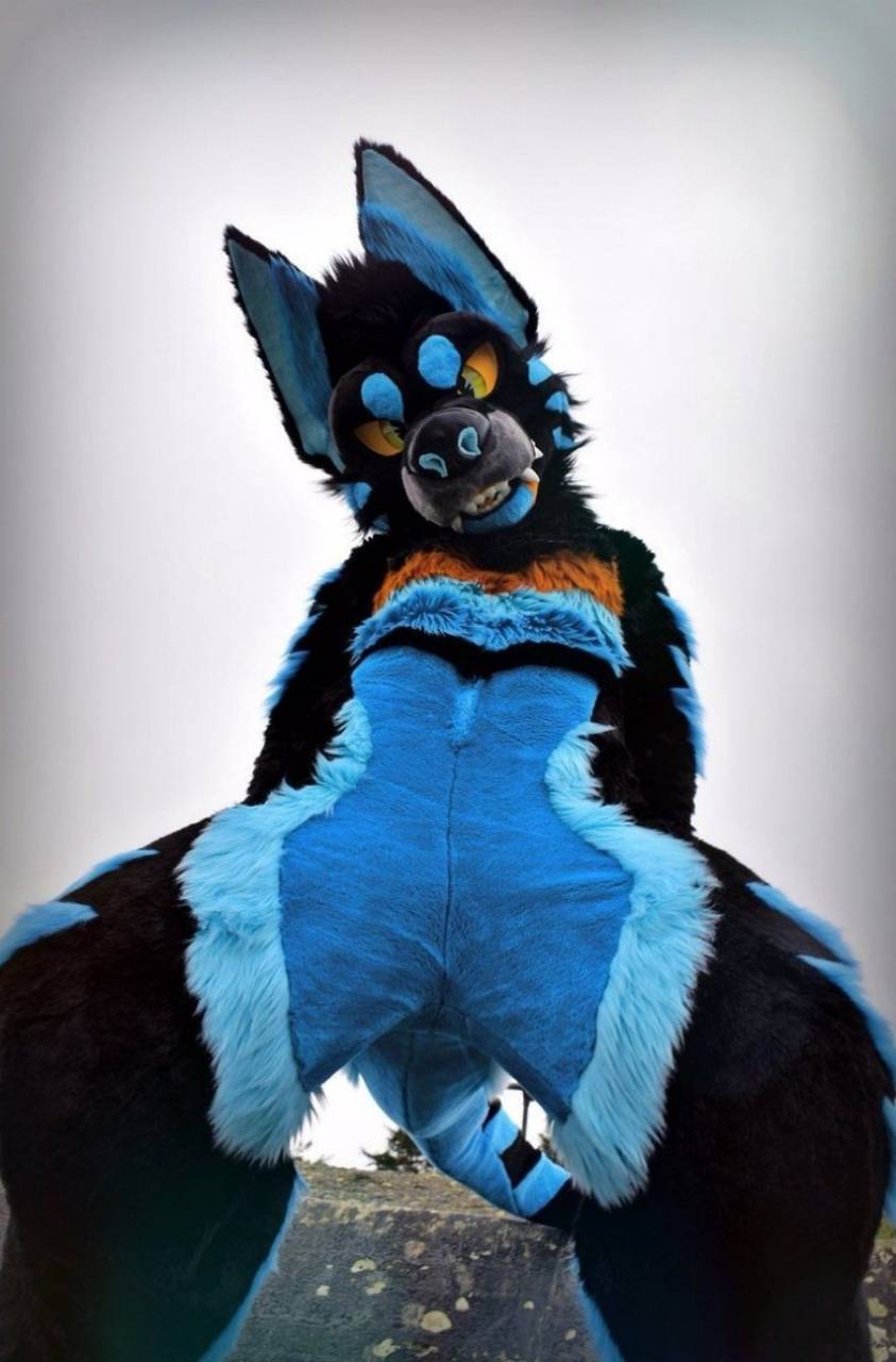 Fursuit Wallpapers - Top Free Fursuit Backgrounds - WallpaperAccess