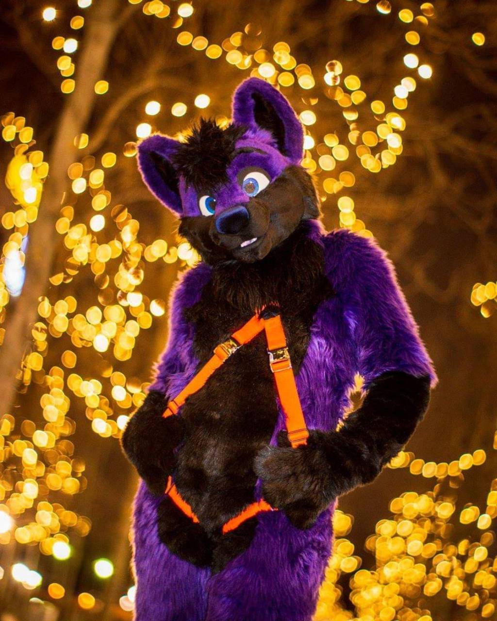 Fursuit Wallpapers - Top Free Fursuit Backgrounds - WallpaperAccess