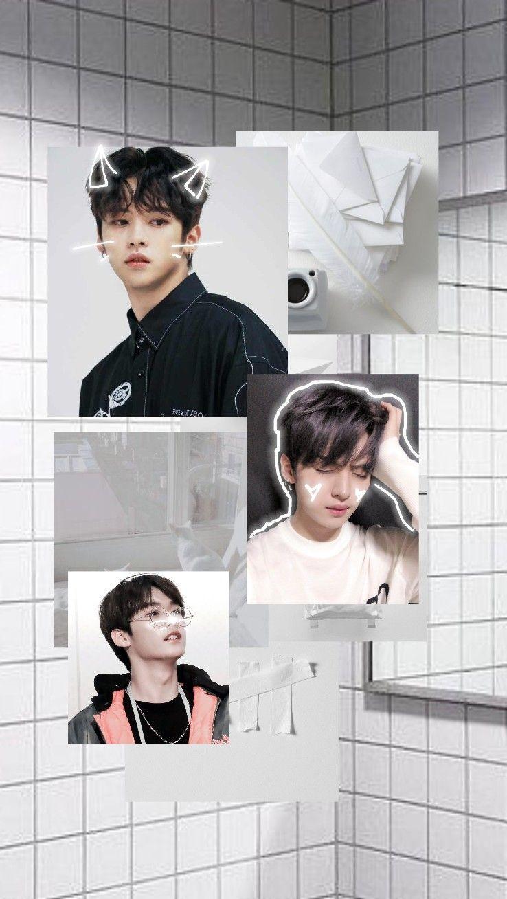 Skz Minho Wallpapers - Top Free Skz Minho Backgrounds - WallpaperAccess