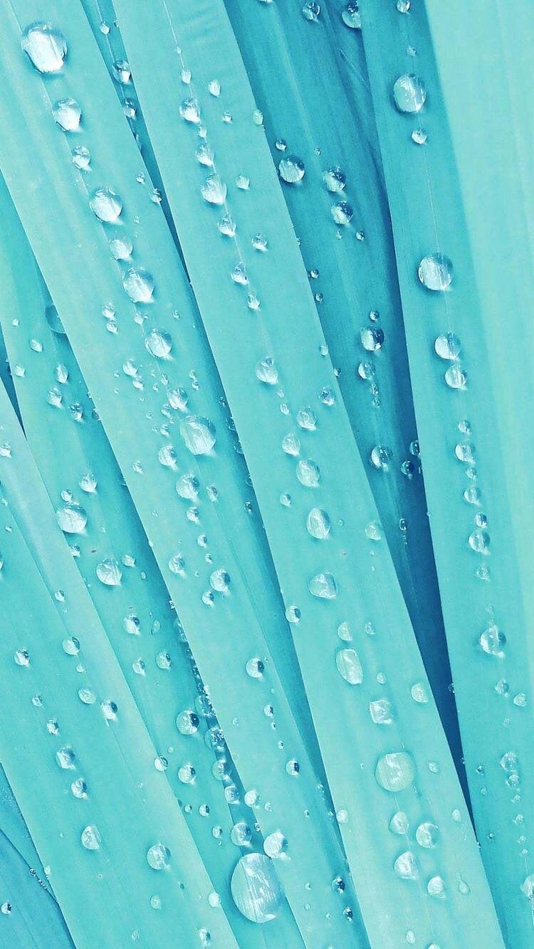 Turquoise Blue Wallpapers - Top Free Turquoise Blue Backgrounds ...