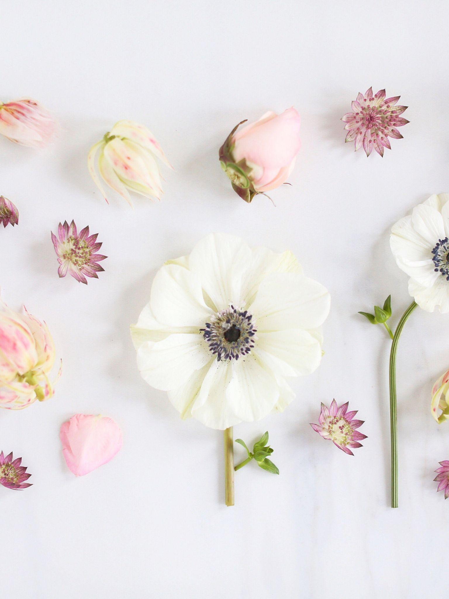 Digital Flowers Wallpapers - Top Free Digital Flowers Backgrounds ...