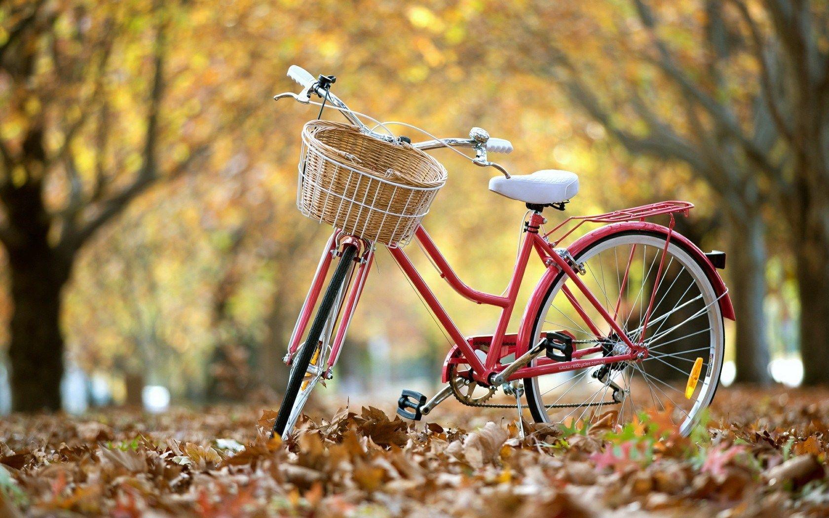 Red Bicycle Wallpapers - Top Free Red Bicycle Backgrounds - WallpaperAccess