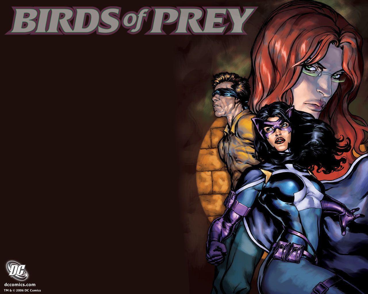 Birds of Prey DC Wallpapers - Top Free Birds of Prey DC Backgrounds ...