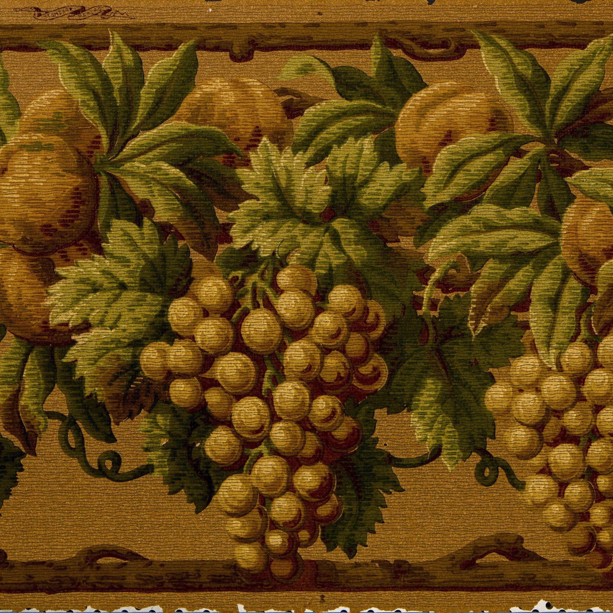 Grape Vine Wallpapers - Top Free Grape Vine Backgrounds - WallpaperAccess