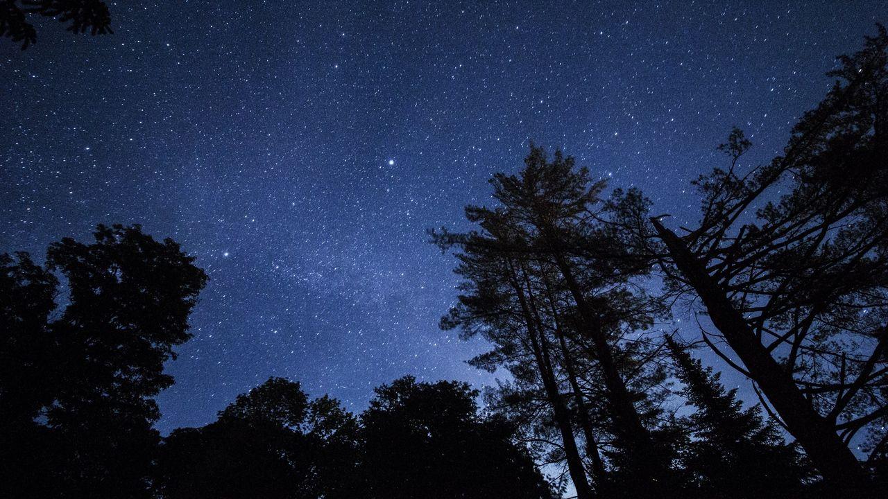 Trees and Stars Wallpapers - Top Free Trees and Stars Backgrounds ...