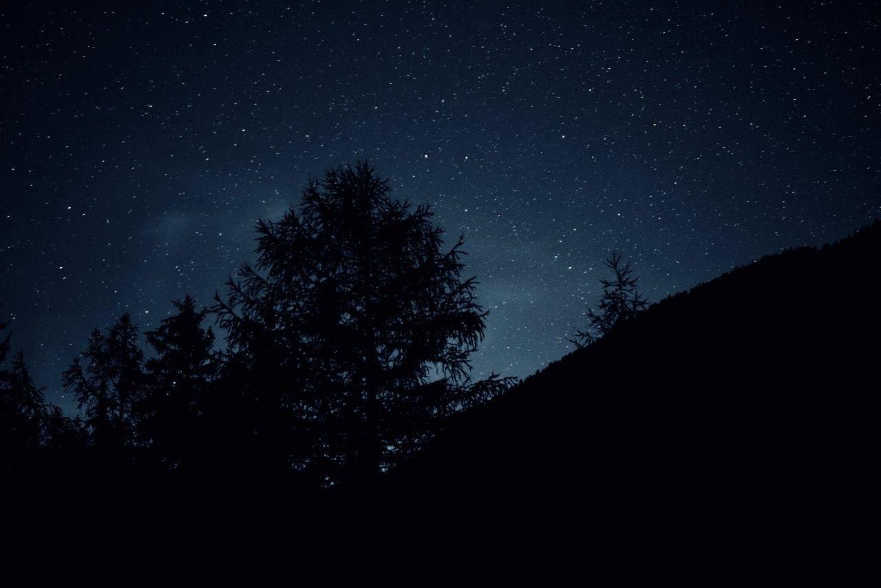 Trees and Stars Wallpapers - Top Free Trees and Stars Backgrounds ...