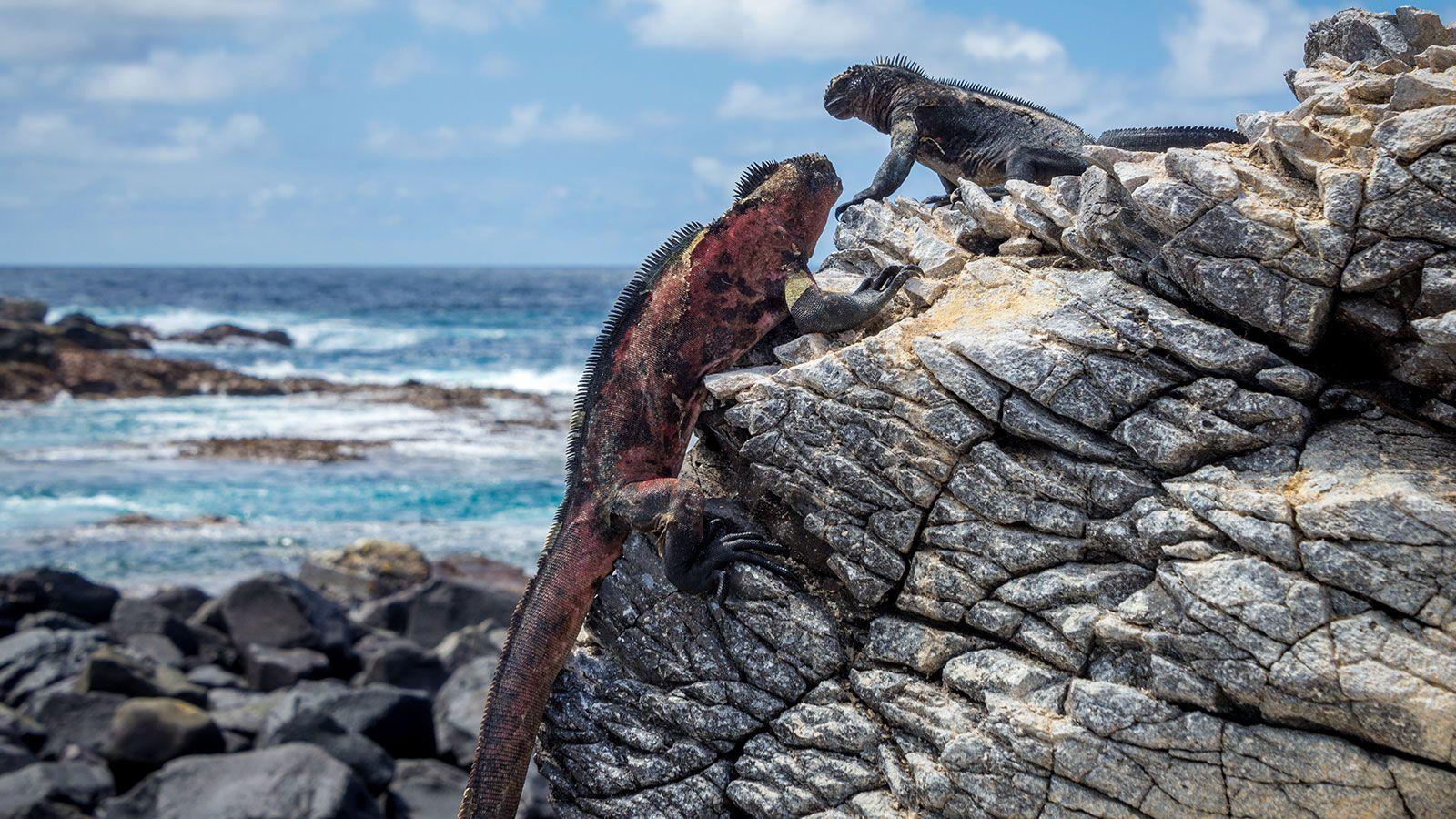 Planet Earth 2 Wallpapers - Top Free Planet Earth 2 Backgrounds ...