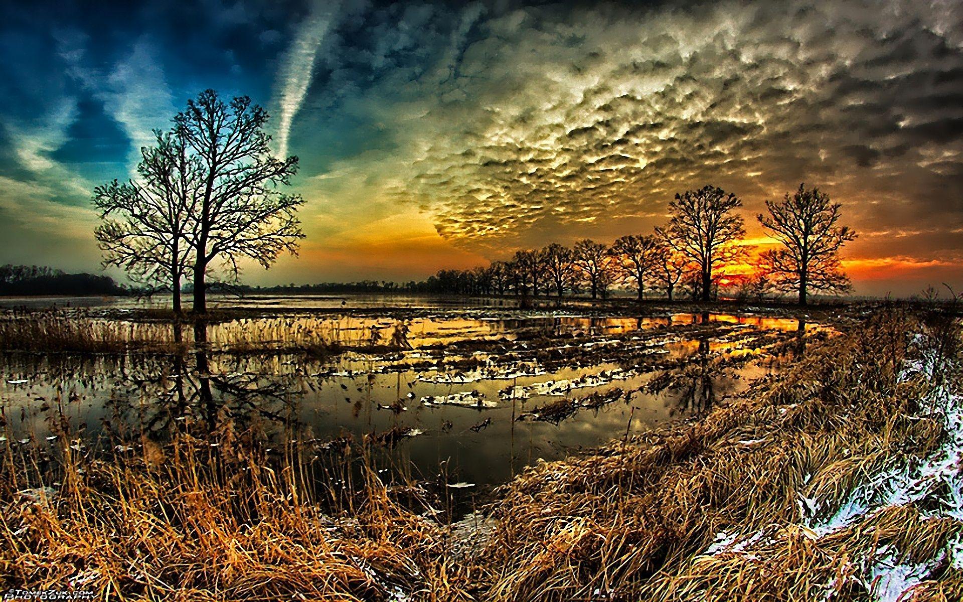 Early Frost Wallpapers - Top Free Early Frost Backgrounds - WallpaperAccess