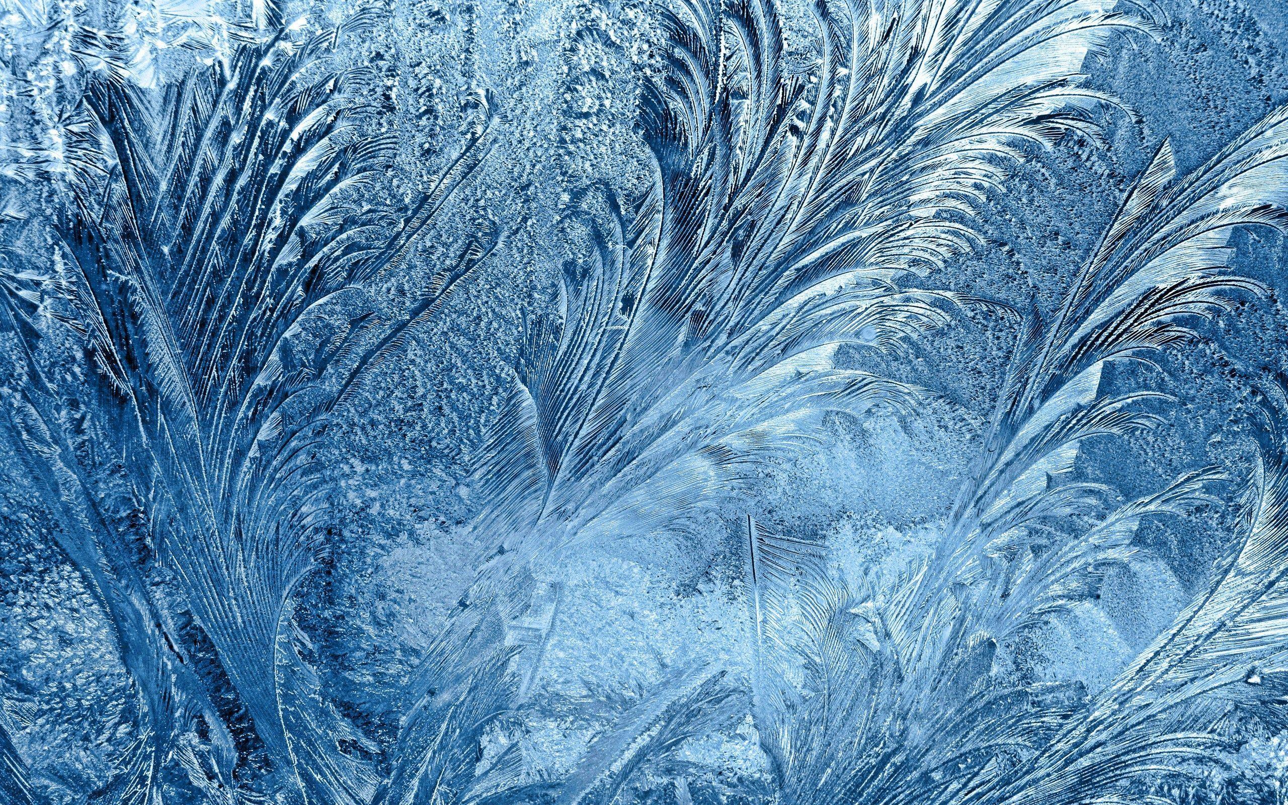 Early Frost Wallpapers - Top Free Early Frost Backgrounds - WallpaperAccess