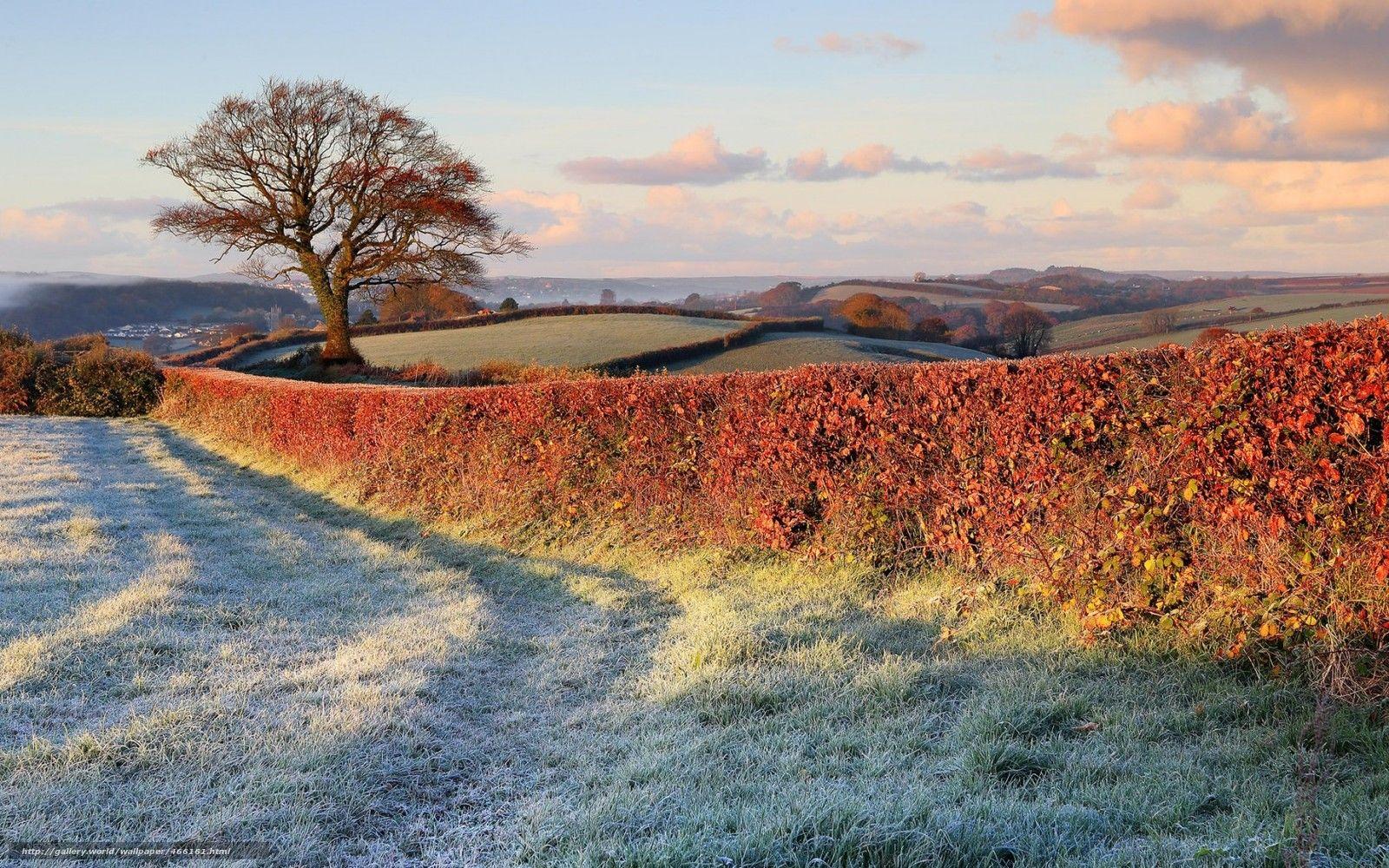 Early Frost Wallpapers - Top Free Early Frost Backgrounds - WallpaperAccess