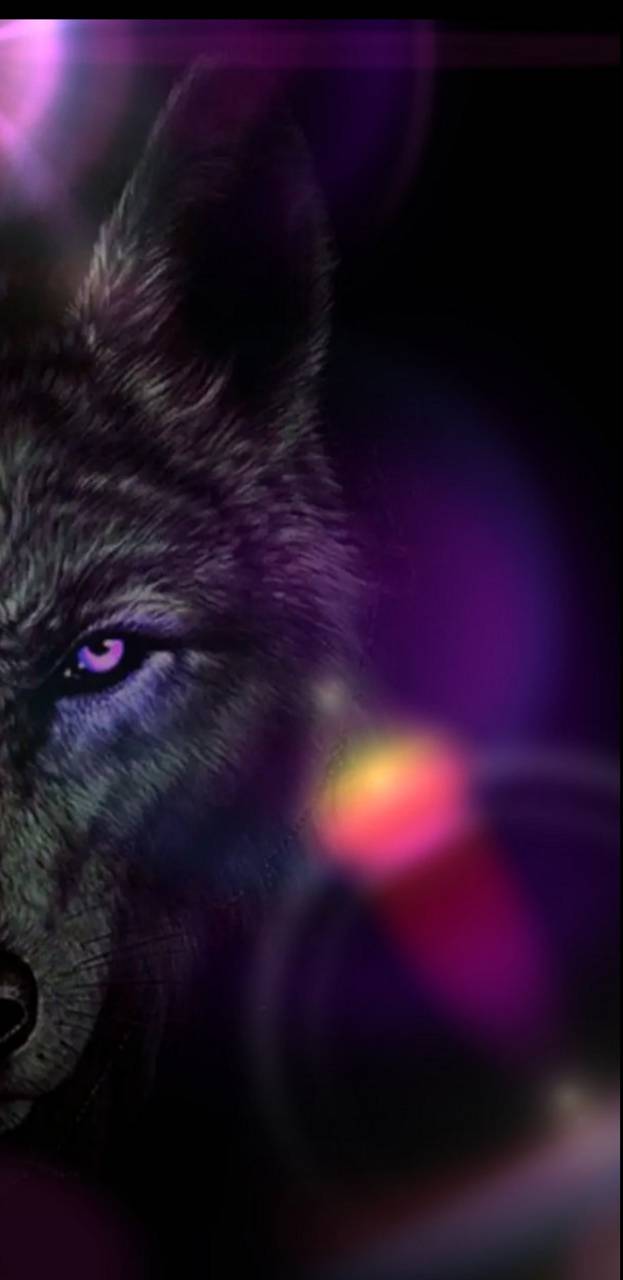 Purple Wolves Wallpapers - Top Free Purple Wolves Backgrounds ...