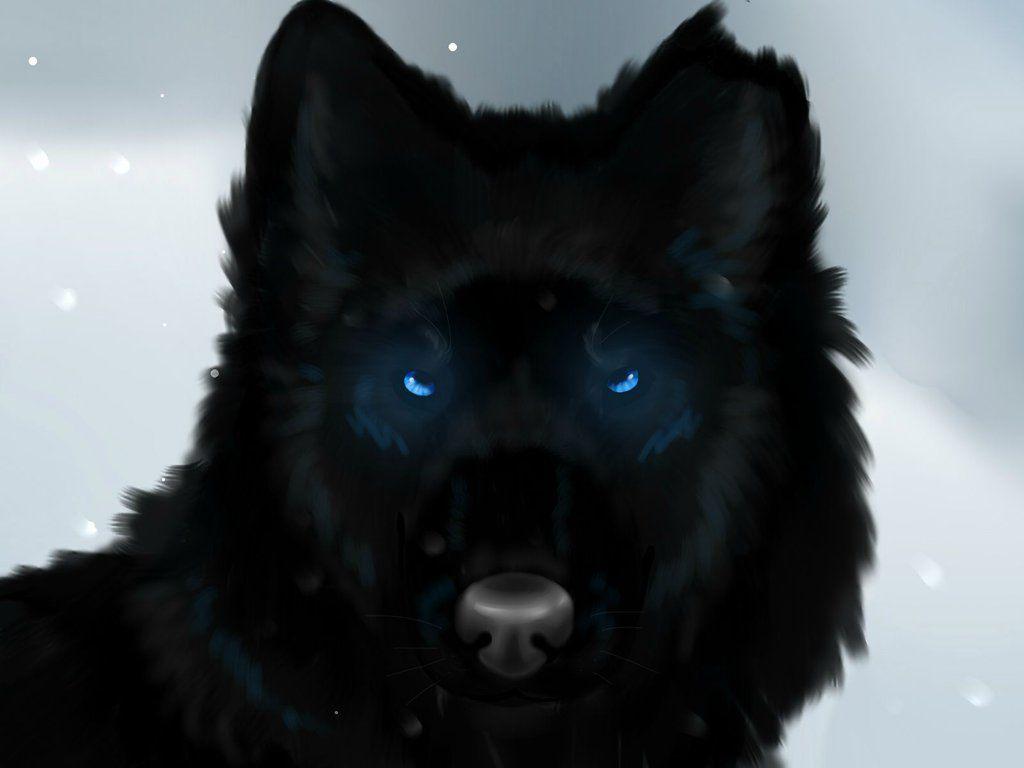 Blue Wolf Eyes Wallpapers - Top Free Blue Wolf Eyes Backgrounds ...