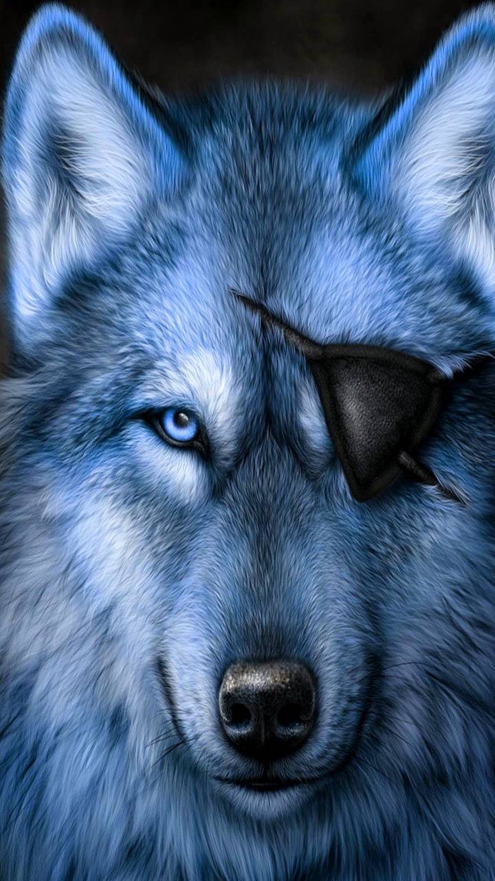 Blue Wolf Eyes Wallpapers - Top Free Blue Wolf Eyes Backgrounds ...
