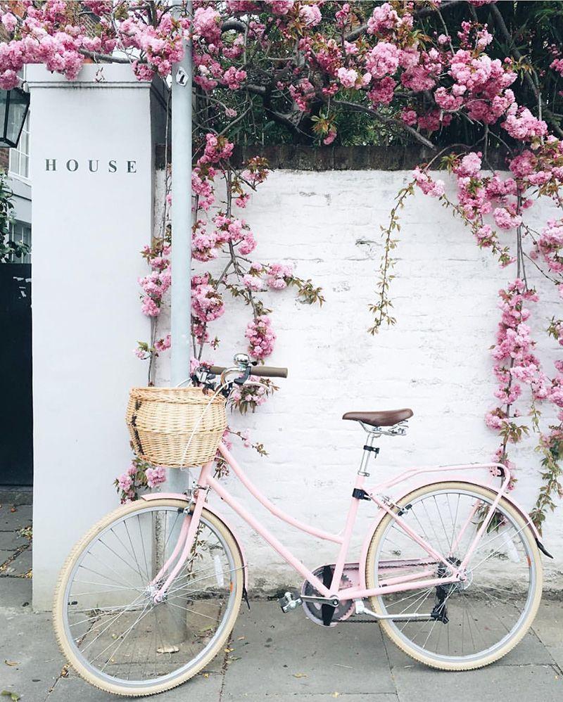 Pink Bike Wallpapers - Top Free Pink Bike Backgrounds - WallpaperAccess