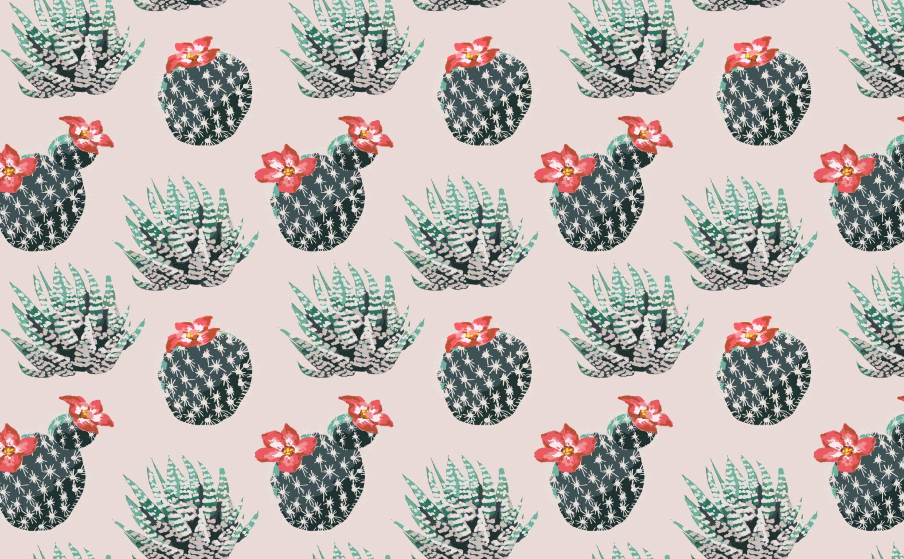 Pastel Cactus Wallpapers - Top Free Pastel Cactus Backgrounds ...