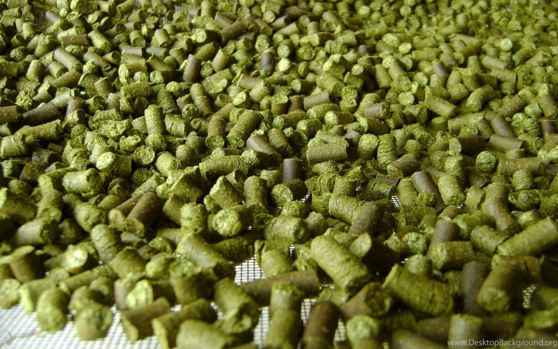 Hops Wallpapers - Top Free Hops Backgrounds - WallpaperAccess