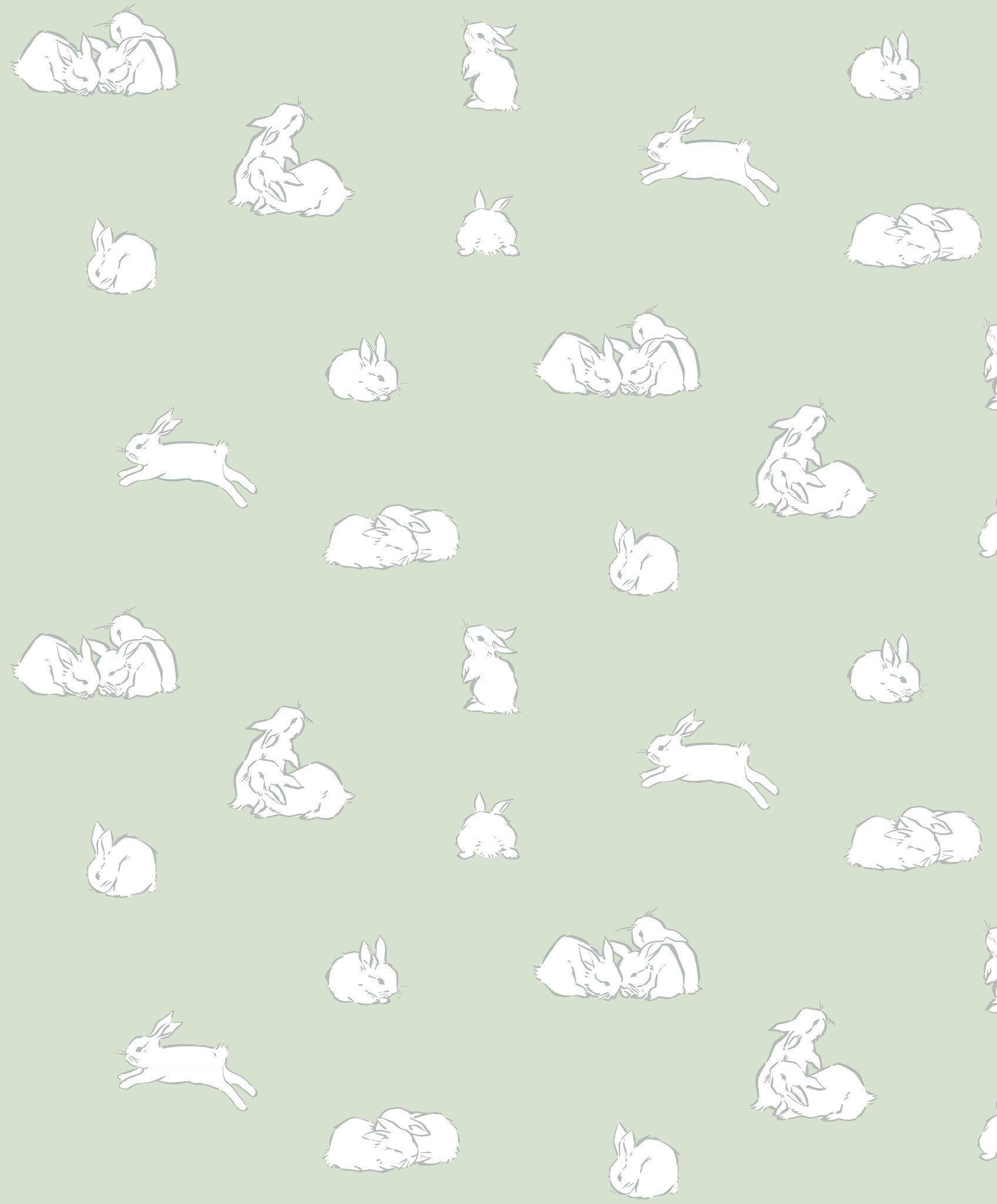 Hops Wallpapers - Top Free Hops Backgrounds - WallpaperAccess