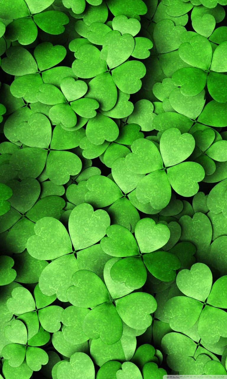 Clover iPhone Wallpapers - Top Free Clover iPhone Backgrounds ...
