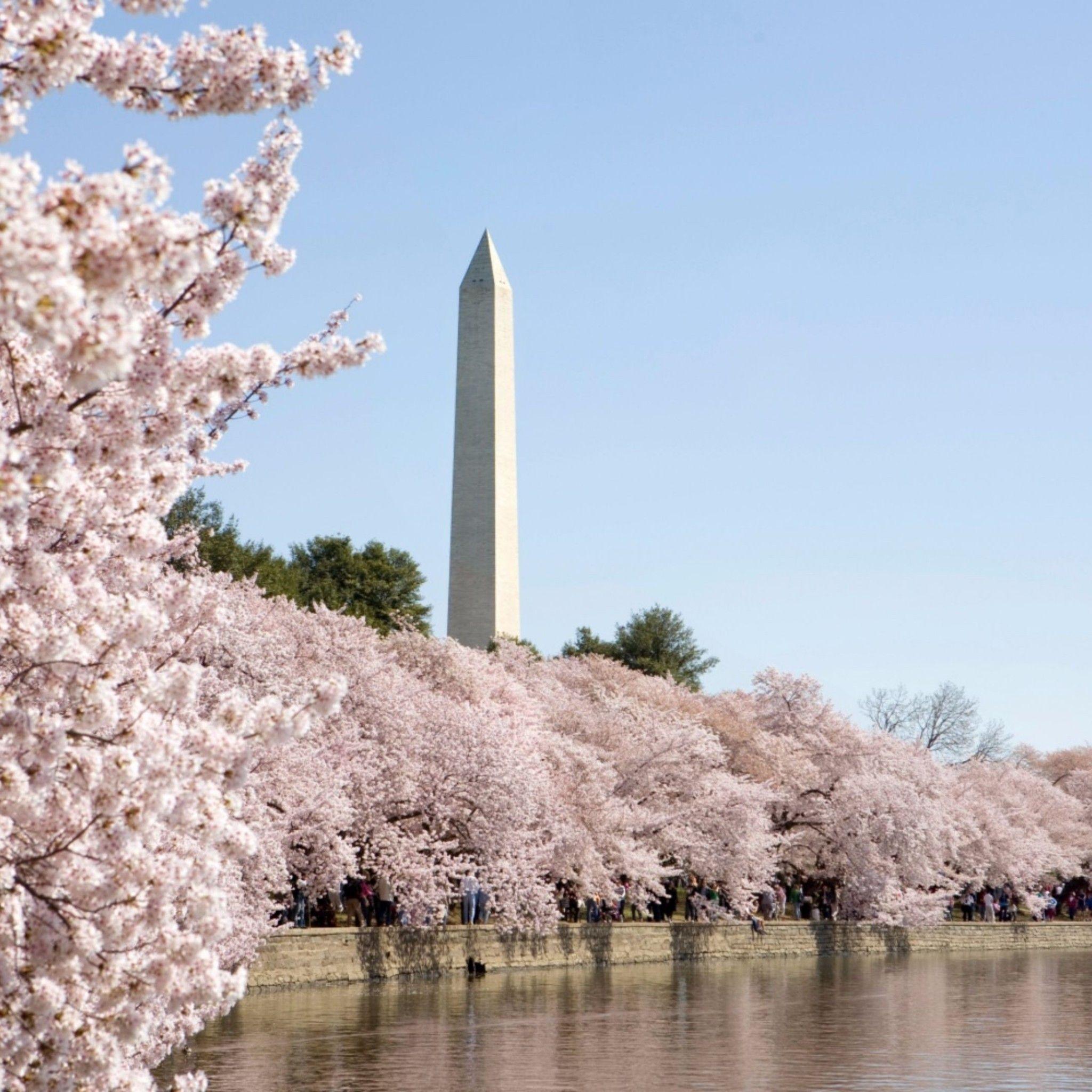 Washington iPhone Wallpapers - Top Free Washington iPhone Backgrounds ...