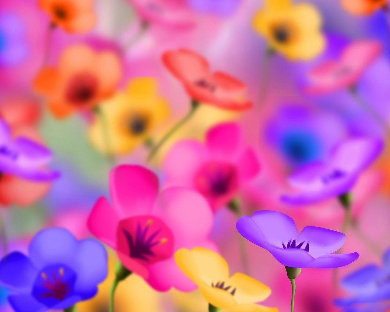 Windows 7 Flower Wallpapers - Top Free Windows 7 Flower Backgrounds ...