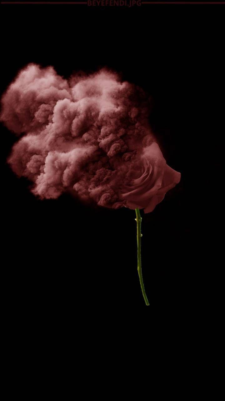 Smoke Rose Wallpapers - Top Free Smoke Rose Backgrounds - WallpaperAccess