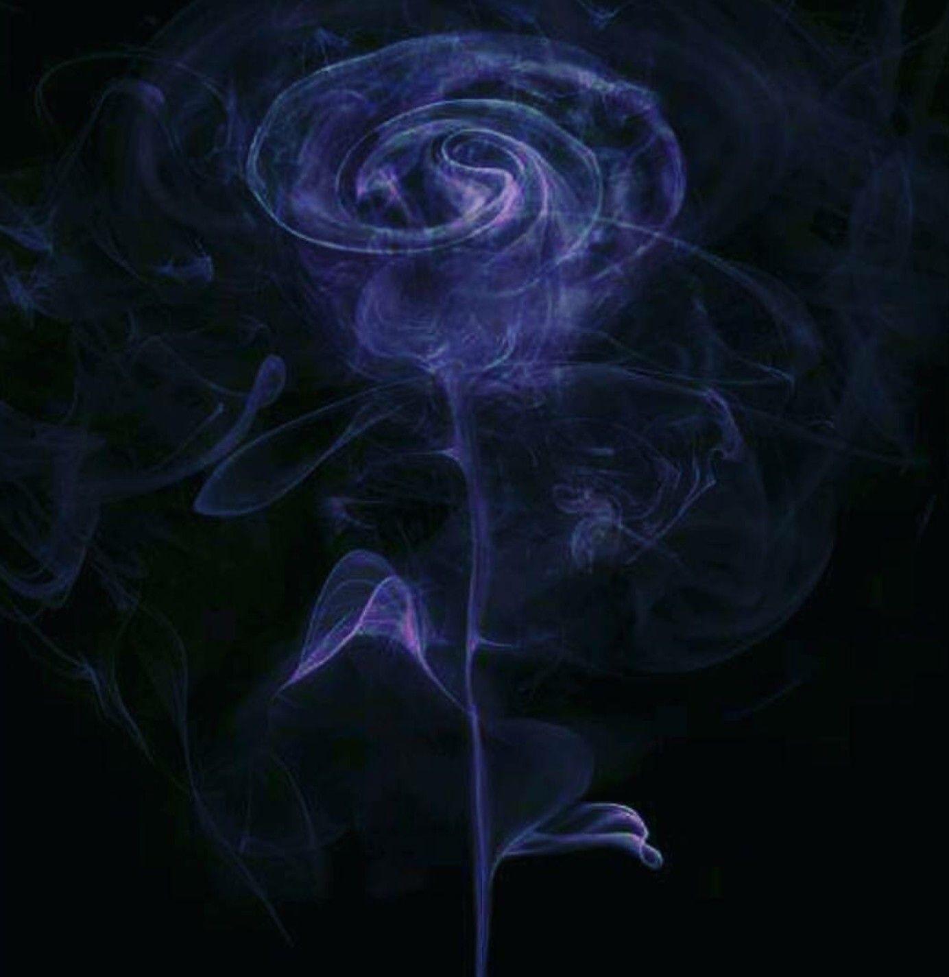 Smoke Rose Wallpapers - Top Free Smoke Rose Backgrounds - WallpaperAccess