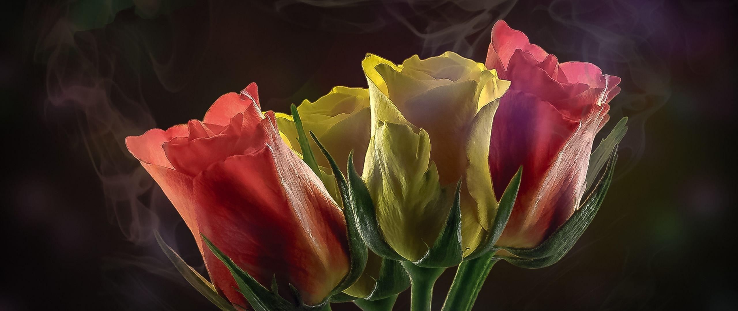 Smoke Rose Wallpapers - Top Free Smoke Rose Backgrounds - WallpaperAccess