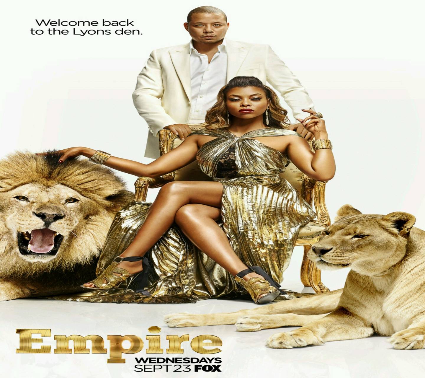 Empire Fox Wallpapers - Top Free Empire Fox Backgrounds - WallpaperAccess