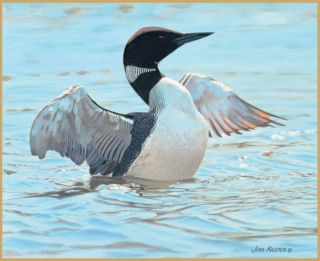 Loon Wallpapers - Top Free Loon Backgrounds - WallpaperAccess