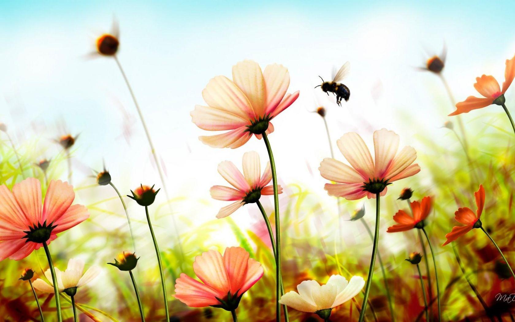 Vintage Summer Photography Wallpapers - Top Free Vintage Summer ...