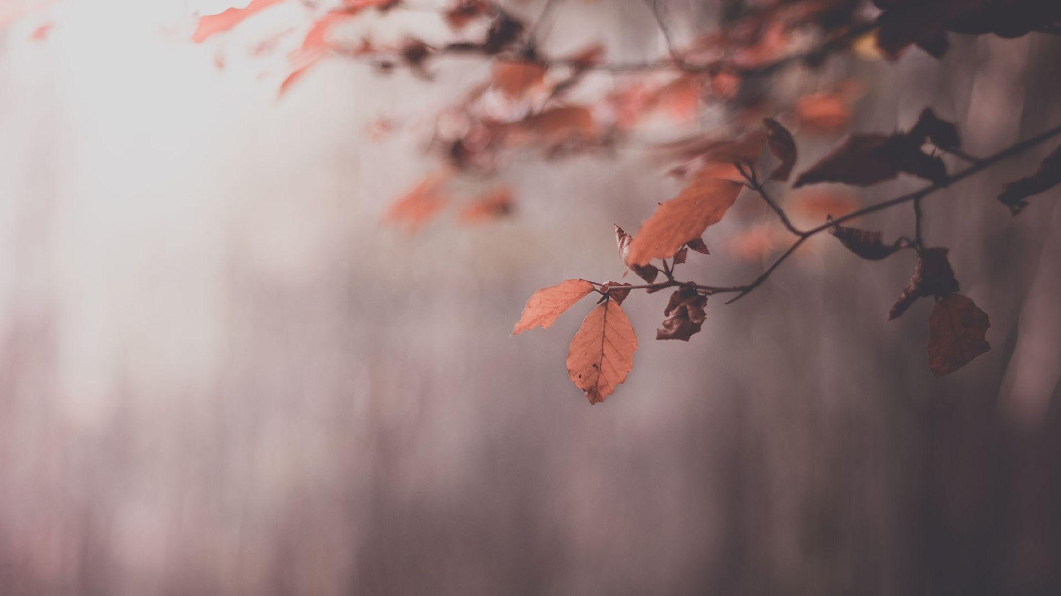 Autumn Photography Wallpapers - Top Free Autumn Photography Backgrounds ...