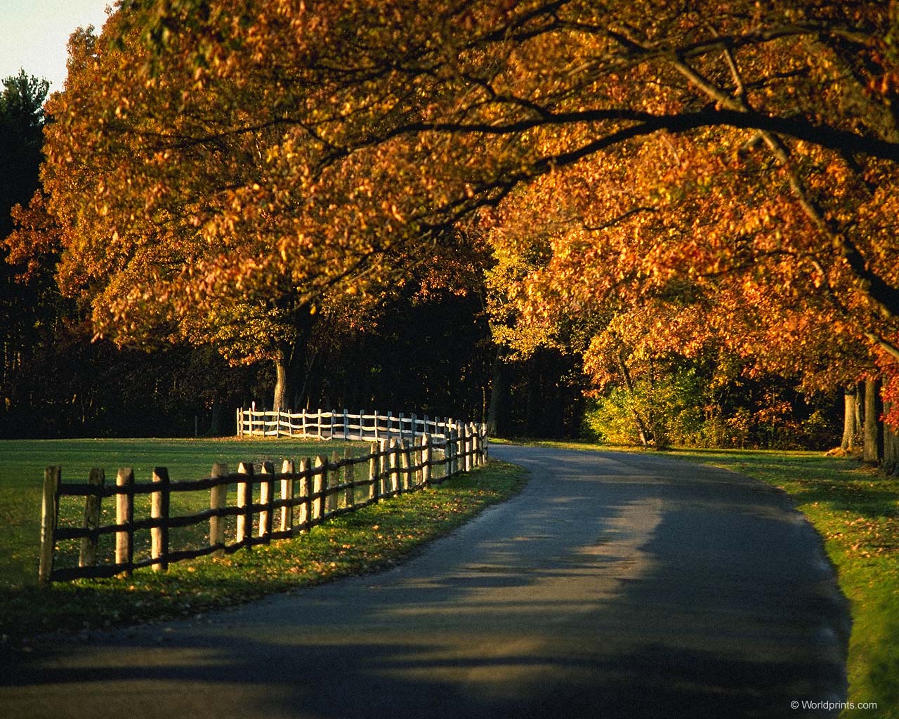 Autumn Photography Wallpapers - Top Free Autumn Photography Backgrounds ...